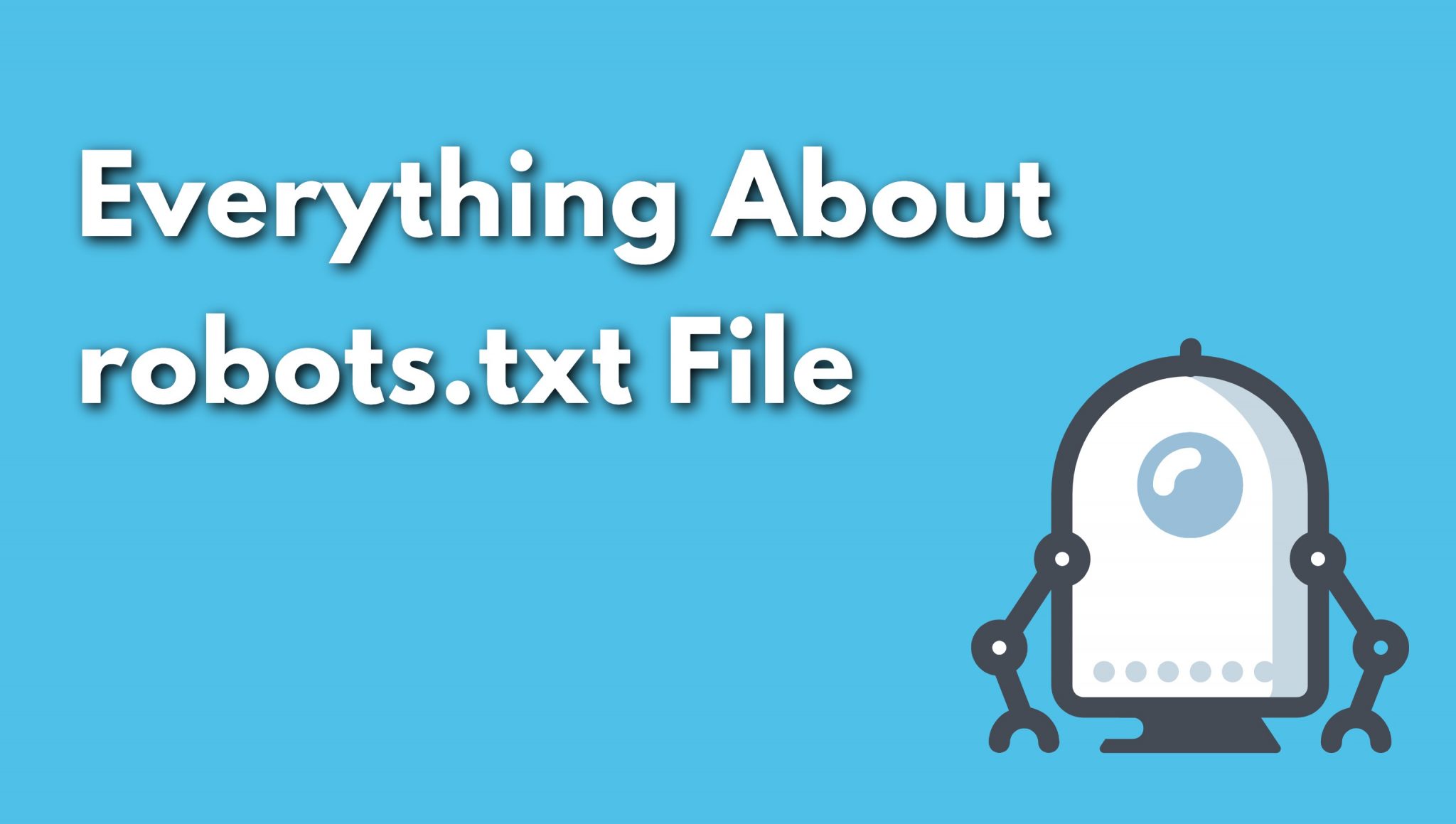 What is a robots.txt File and How to Create it?