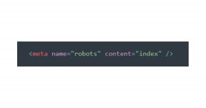 The Beginner's Guide to Robots Meta Tags for SEO